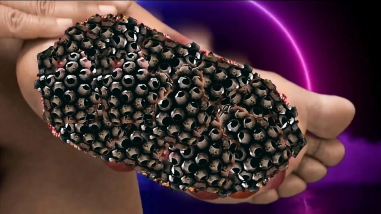 Relaxing ASMR animation incent toe sleep Foot,s treatment 2D| Cleaning ...
