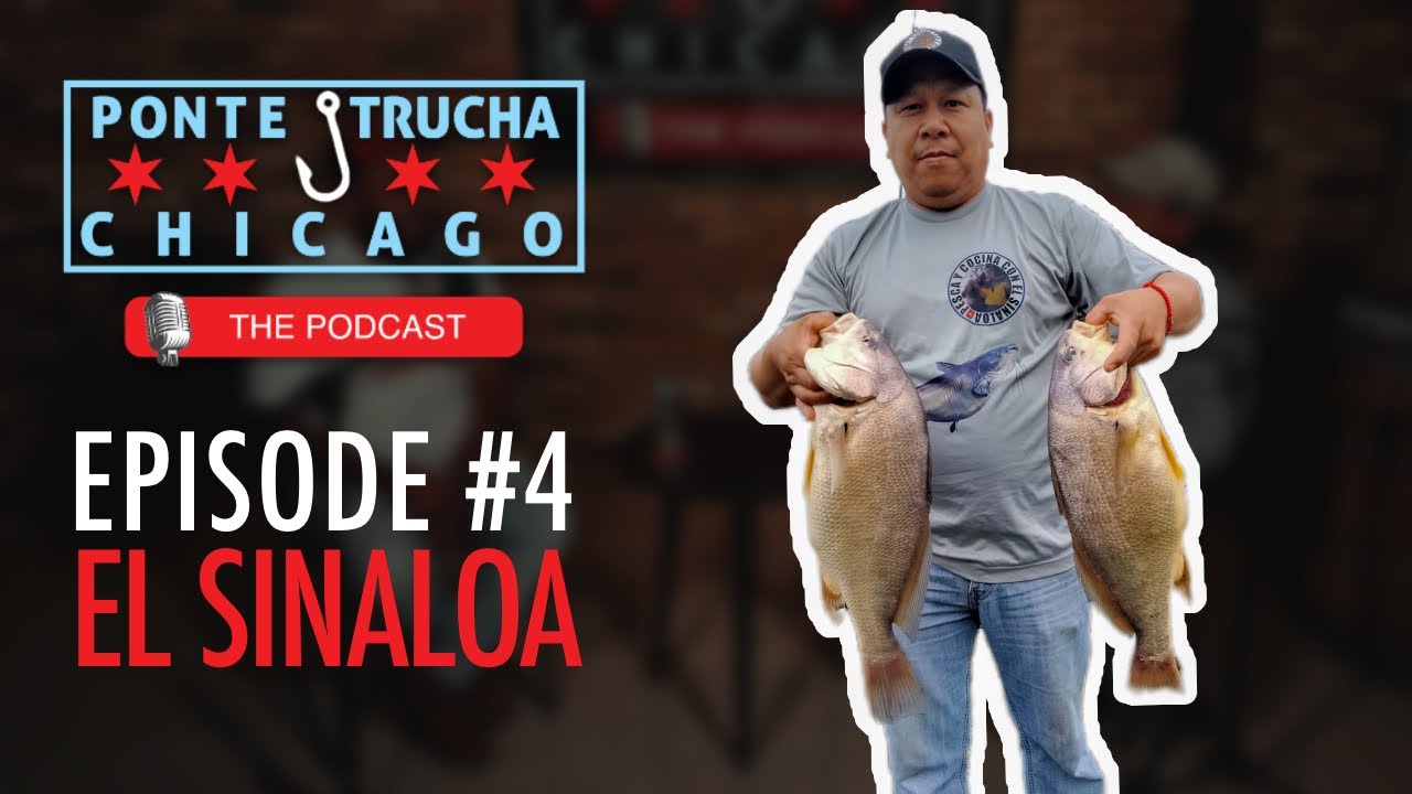 Ponte Trucha Chicago The Podcast Ep #4 El Sinaloa - YouTube