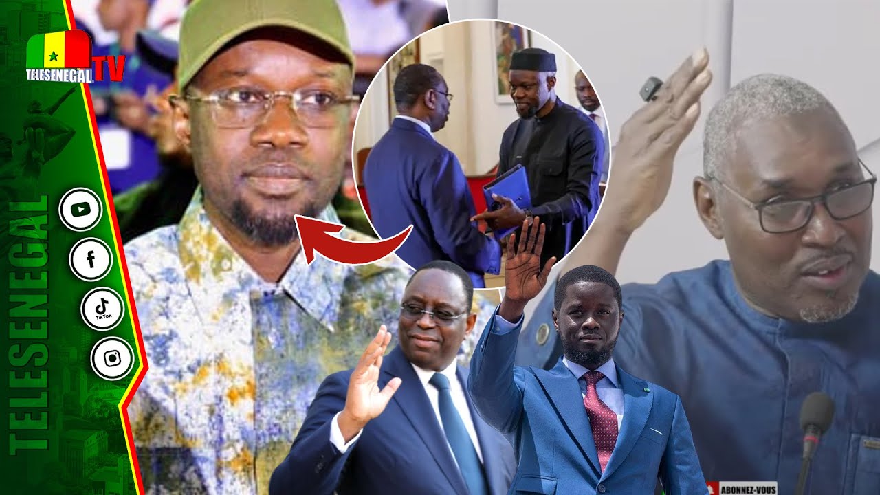 À 24h de l'abrogation de l'amnistie, Adama Fall lâche une vraie bombe ...