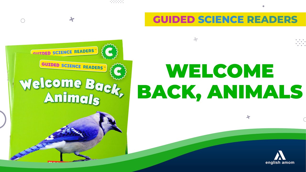 Bộ truyện C: Lesson 13 - Welcome Back, Animals - YouTube