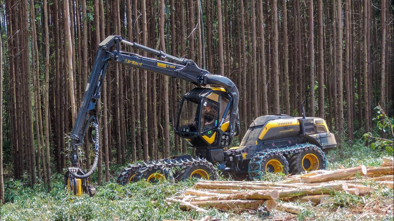 Harvester Ponsse Scorpion King - Eucalyptus - YouTube