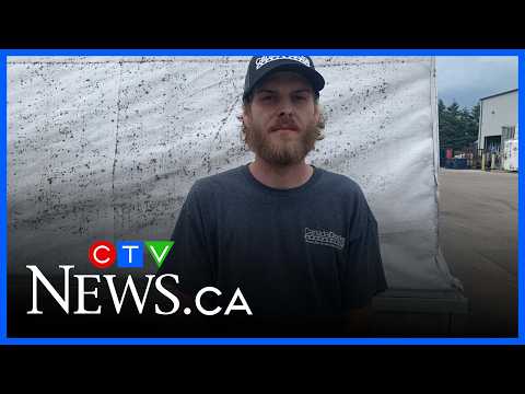 Man steps in to help save boy from dog attack
