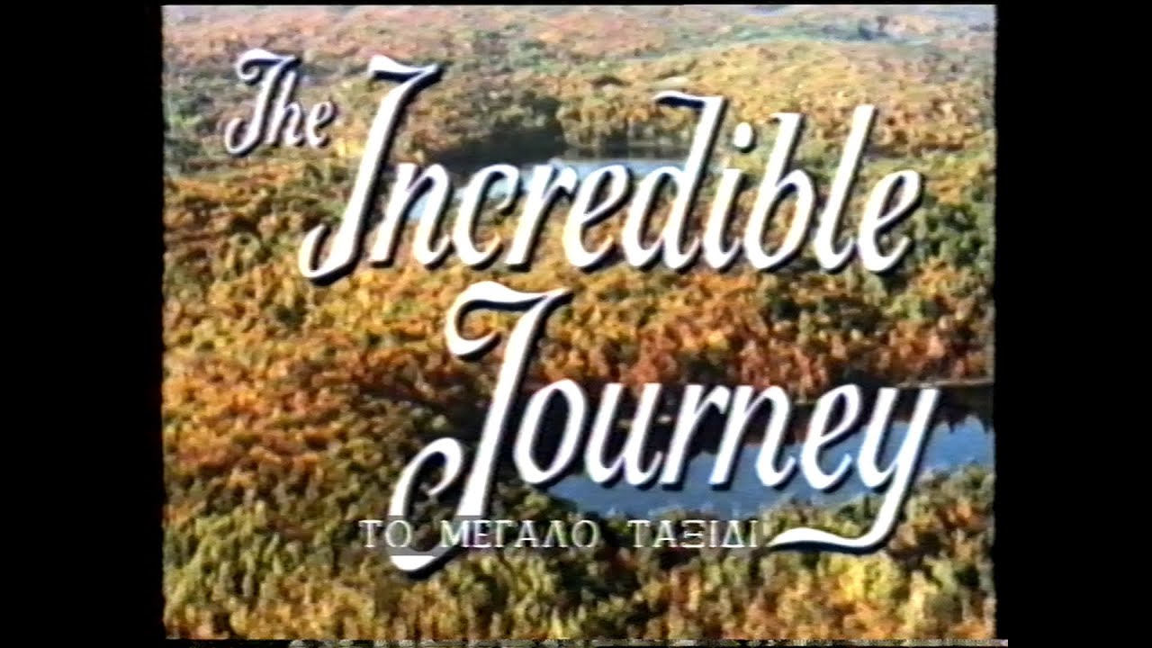 The Incredible Journey Greek VHS Opening (Disney) 1987? - YouTube