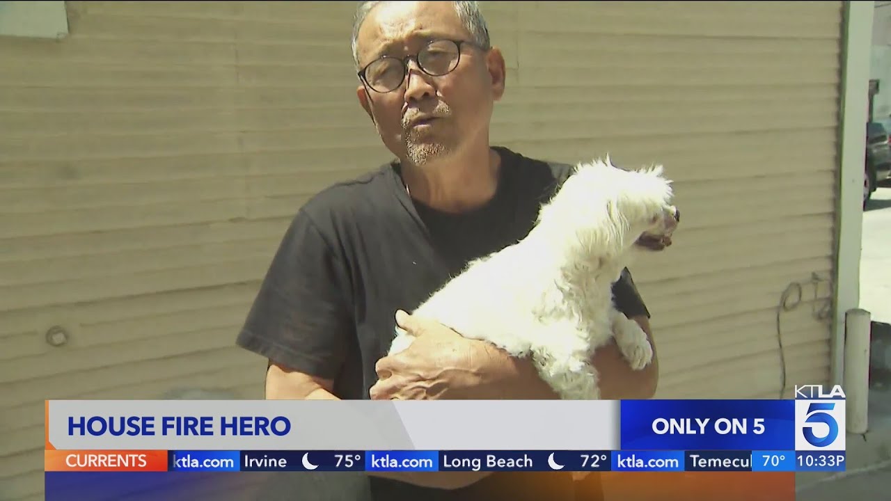 2 men save dog from house fire in Koreatown - YouTube