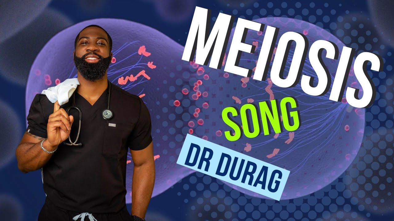 Meiosis Song x Dr Durag - YouTube