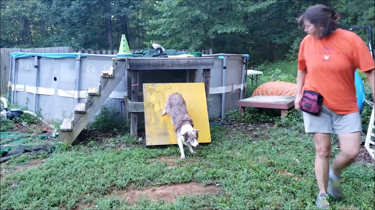 Rave Intermediate Tricks - YouTube