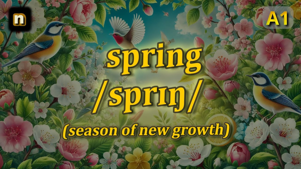 [n] Spring meaning (season of new growth) with 5 examples - YouTube