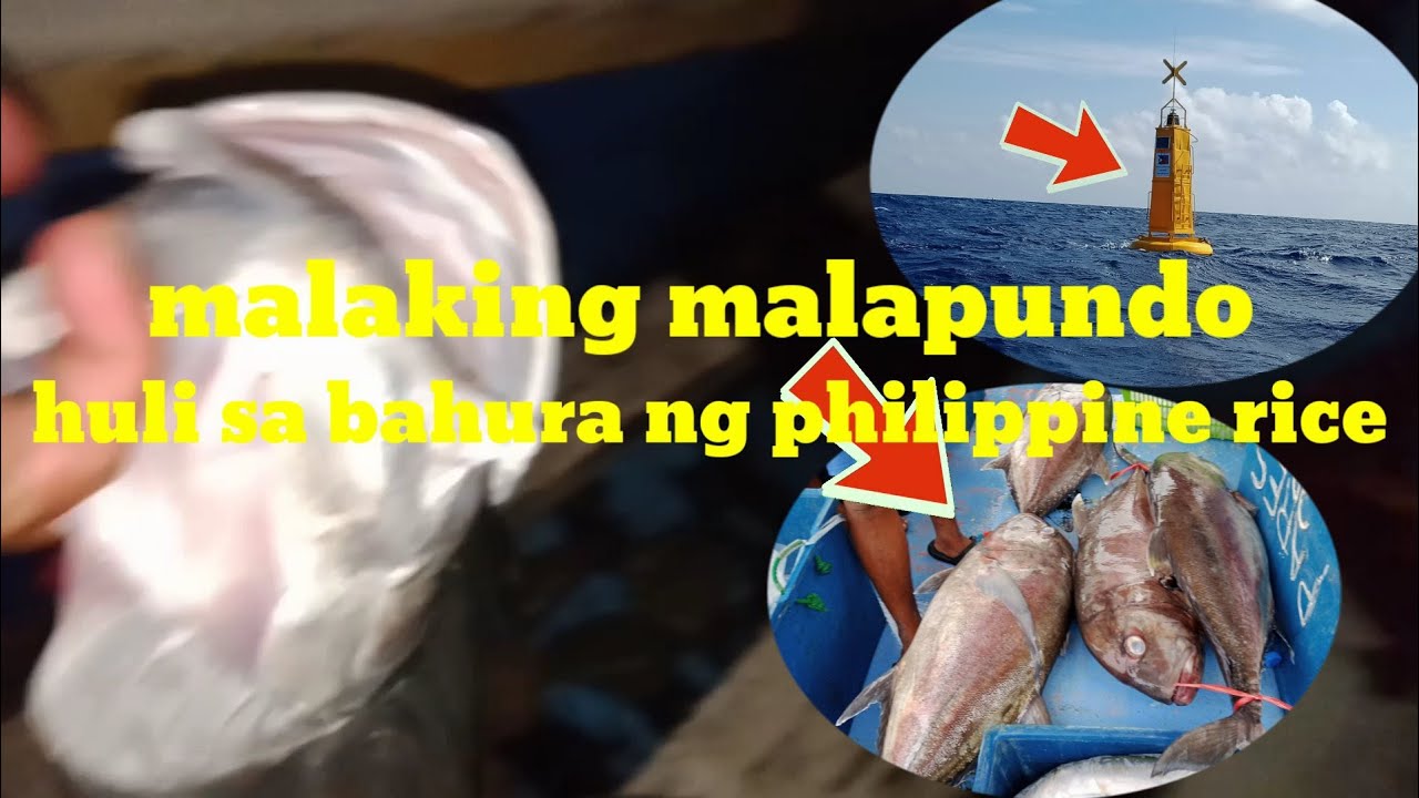 Part 5 buhay pacific malaking malapundo huli ni buddy - YouTube