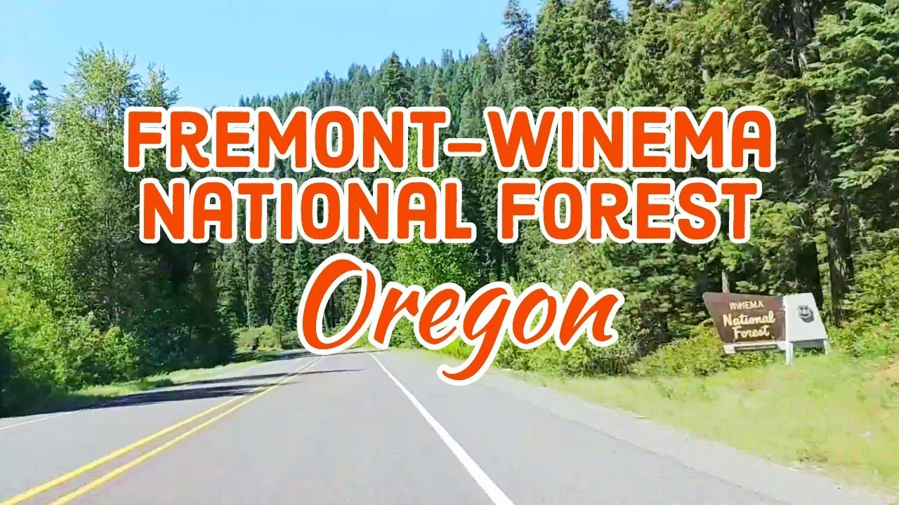 Fremont-Winema National Forest in Klamath County, Oregon. Drive Through ...