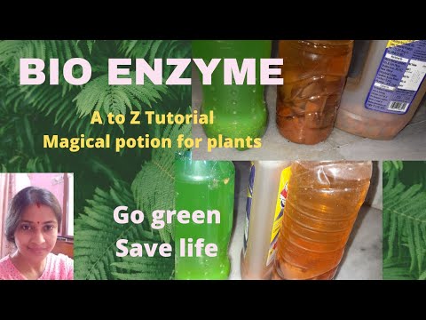 How to make BIO ENZYME at home/Kitchen waste Magic potion for plants ...