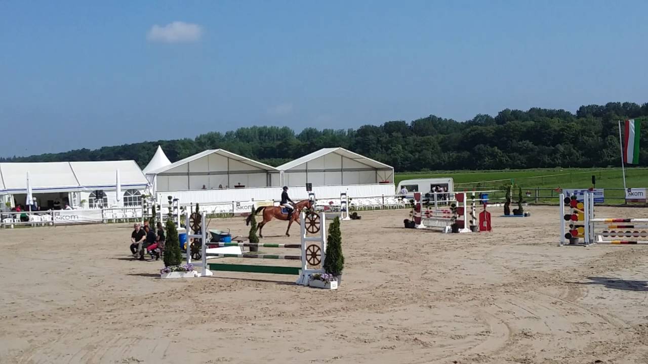 Fiabella (Fanfani x Pilot) A** class jumpingcompetition 4yo mare - YouTube