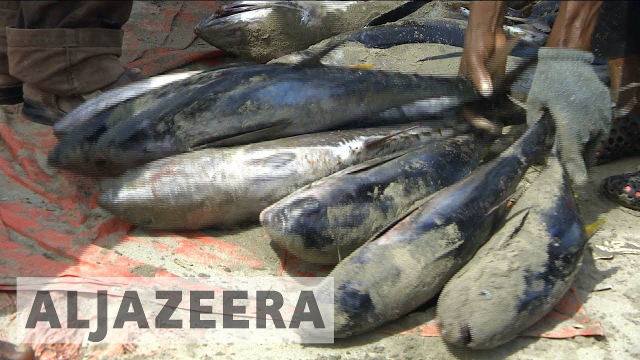 Somali fishermen complain about illegal vessels - YouTube