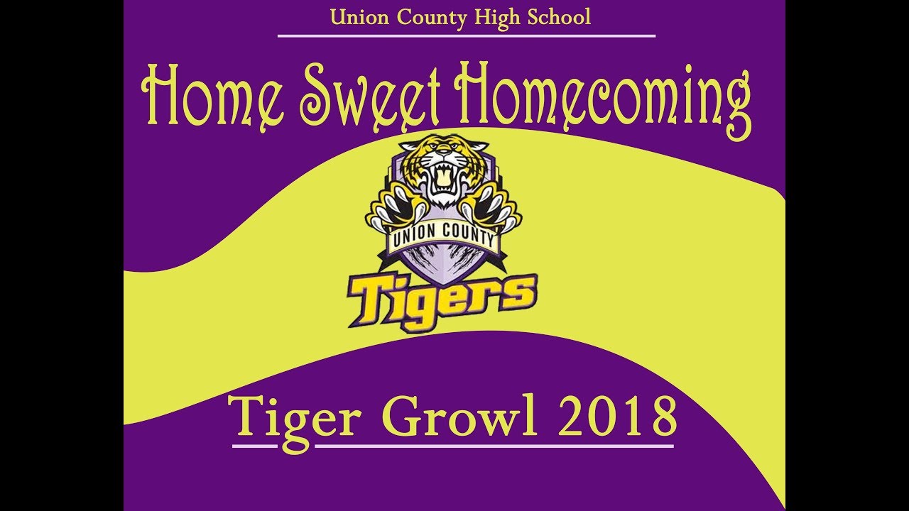 2018 Tiger Growl Junior Pee Wee Cheerleaders & All Star Twirl ...