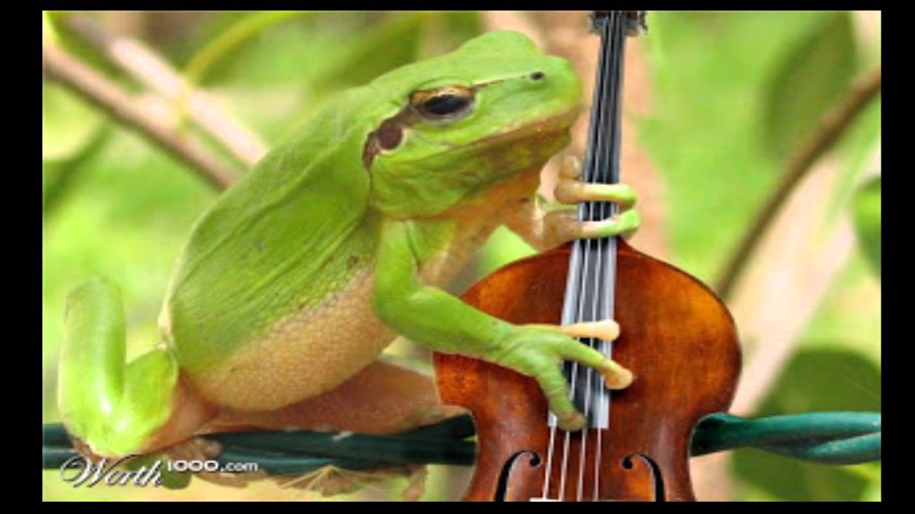 Dj Frogg - I Don't Mean A Mash - YouTube