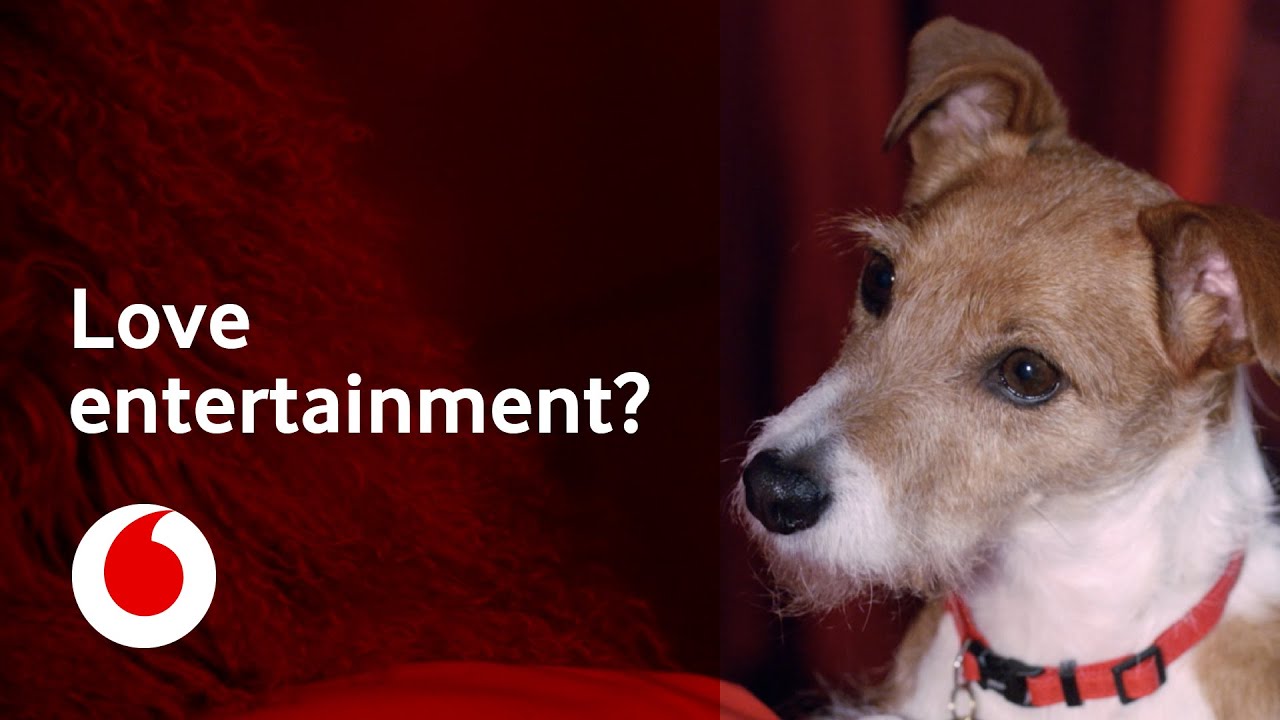 Vodafone Dog Quotes Woef | Aboland