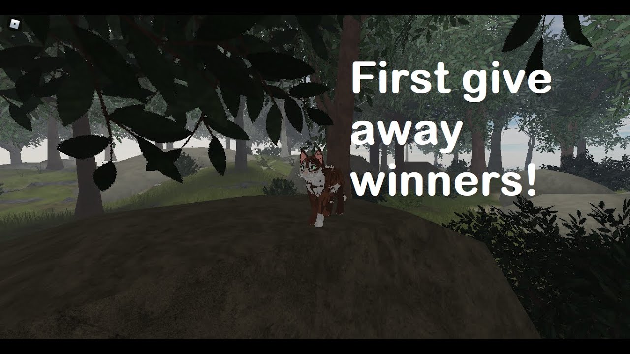 First give away winners! - YouTube