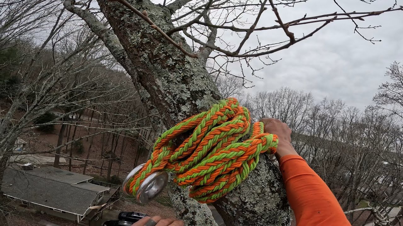 How to Rig Down a Tree Limb - YouTube