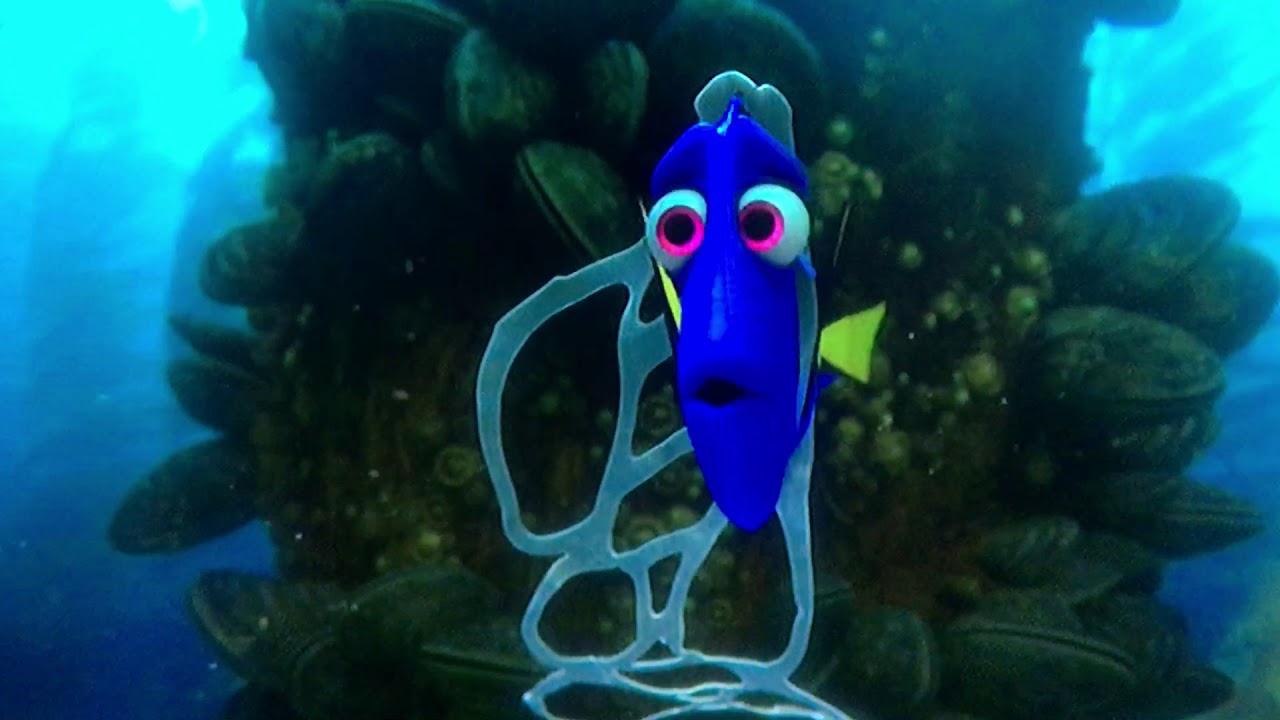 Finding Dory- Dory Captured - YouTube