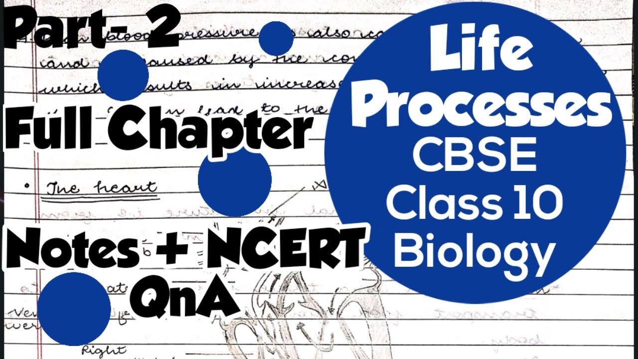 Life Process Class 10th Notes for class 10 biology Part-2 | CBSE ...