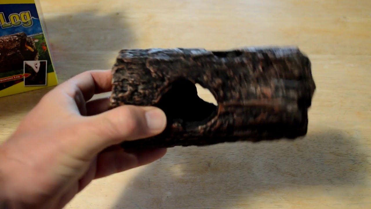 Zoo Med Small Floating Aquarium Log Review - YouTube