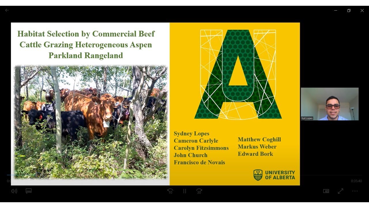 Habitat selection by commercial beef cattle grazing Aspen Parkland ...