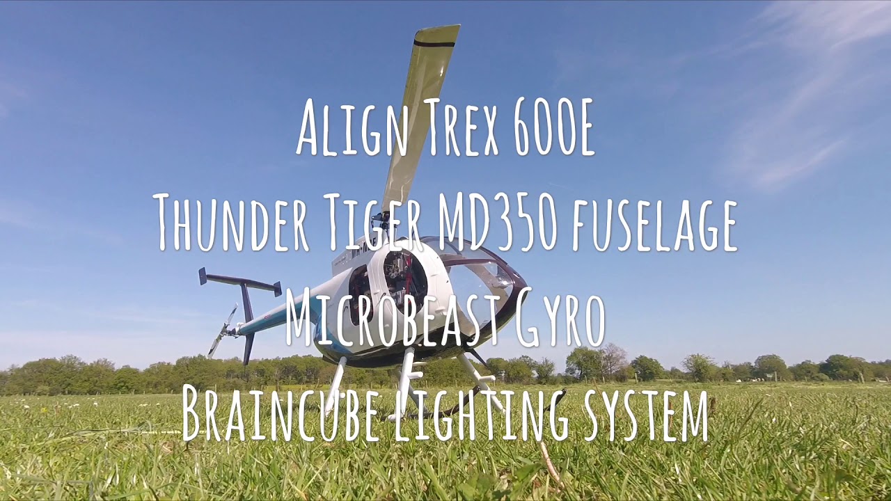 Trex 600 Hughes 500 with Thunder Tiger Body with Braincube Strobe ...