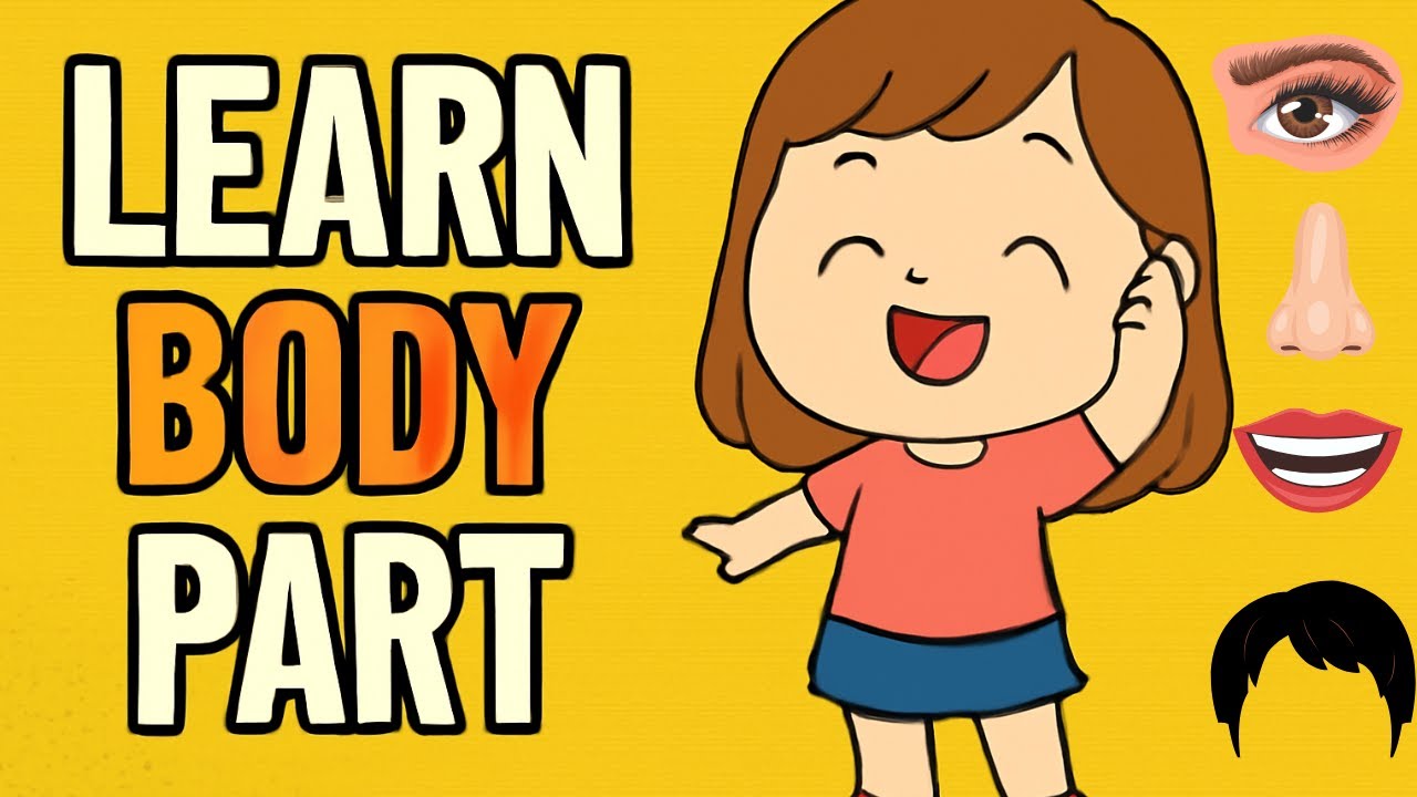 Learn Body Parts for Kids 📚 | Fun Anatomy Song for Toddlers 🎶 | Kids ...