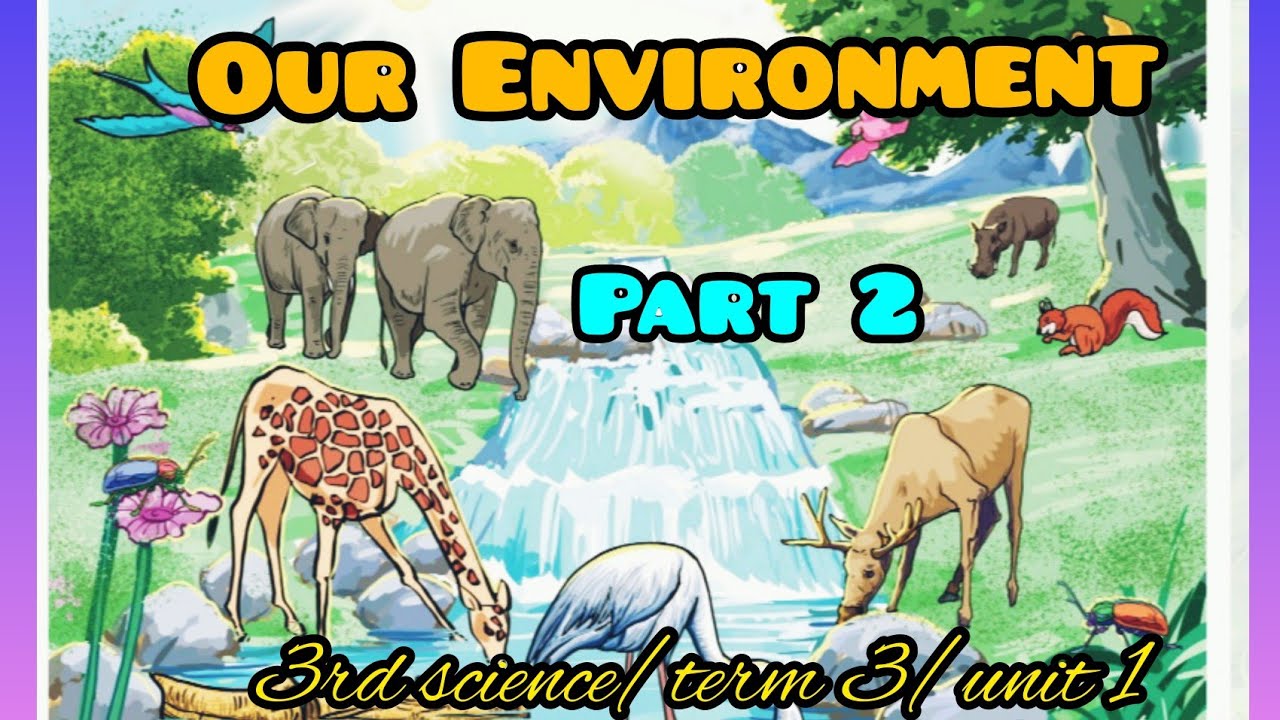 Our Environment- part 2/3rd standard/Science/term 3/unit 1/Samacheer ...