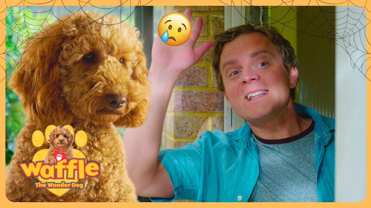 Waffle Misses Doug! 🐶 🥺 | Wale The Wonder Dog | Full Episode ...