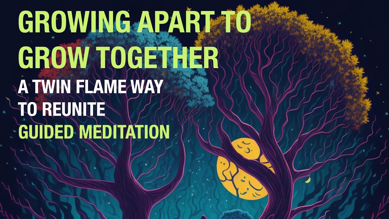 Growing Apart to Grow Together | A Twin Flame Way To Reunite | Guided ...