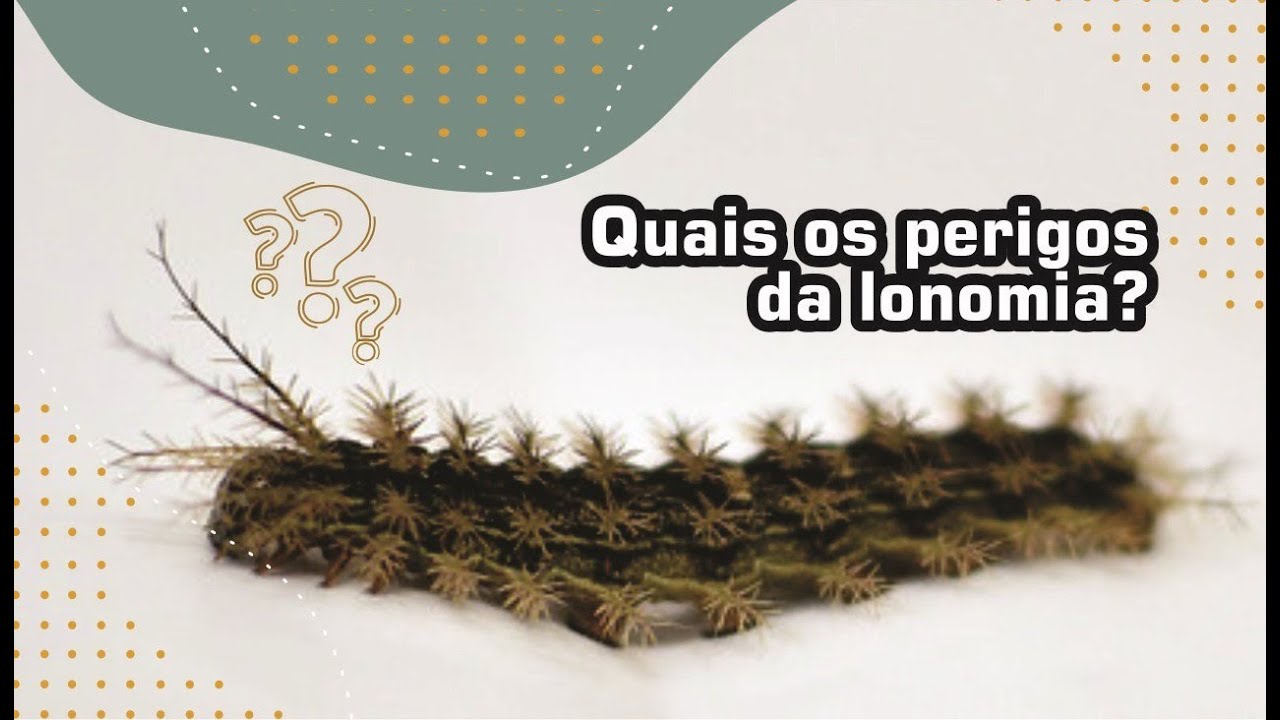 Os perigos da lonomia, TEMP2, EP32 - YouTube