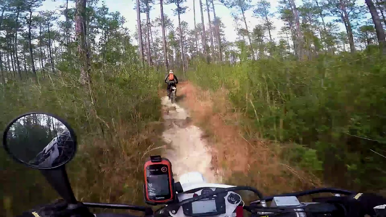 De Soto National Forest Motorcycle Trails - YouTube