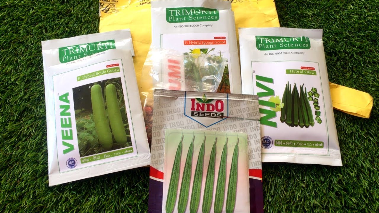 Summer vegetables Seeds Unboxing|| What to grow in summers||Backyard ...