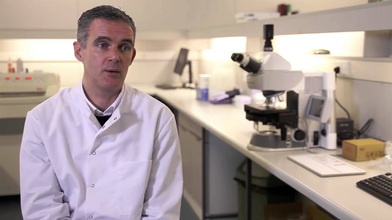 Case Study Ultra Low Temperature Freezers at ProPath UK Limited - YouTube