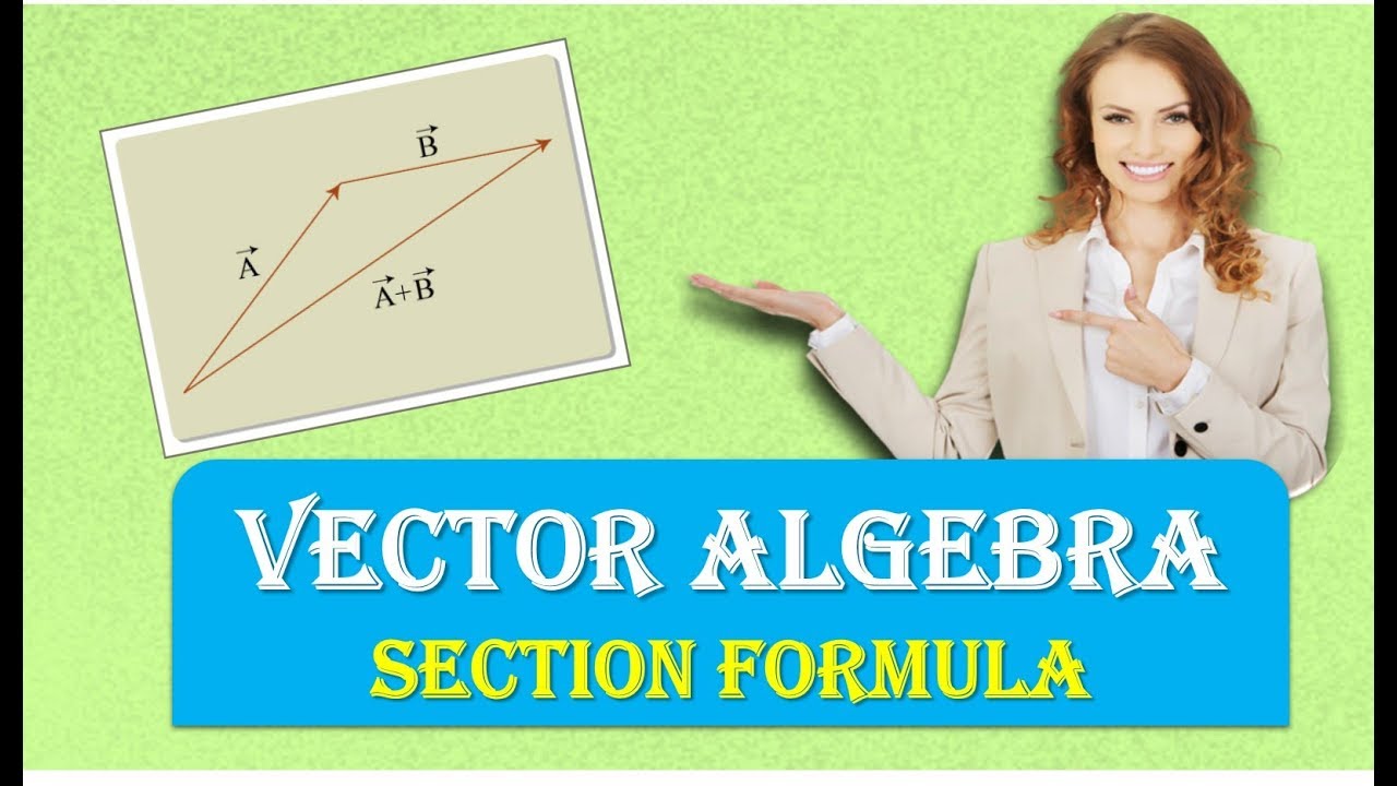 SECTION FORMULA IN VECTOR ALGEBRA - YouTube