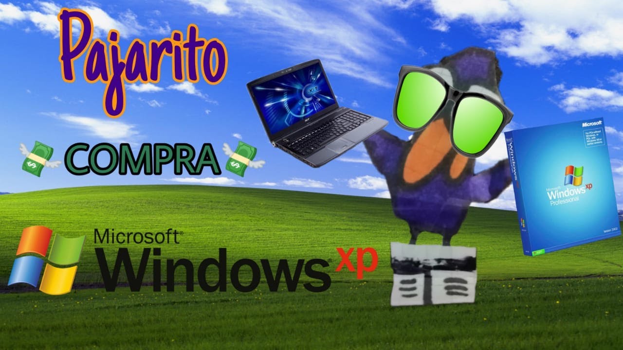 Pajarito compra Windows XP - YouTube