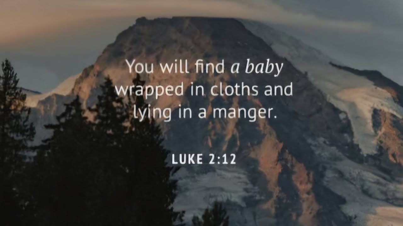 Welcome Baby Jesus! 😊 Our Daily Bread! 🍞 Scripture Today: Luke 2:8-20 📖 ...