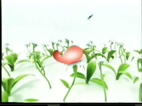 AzTV - Nevruz Reklam Jeneriği (Nevruz 2004 - 2007)