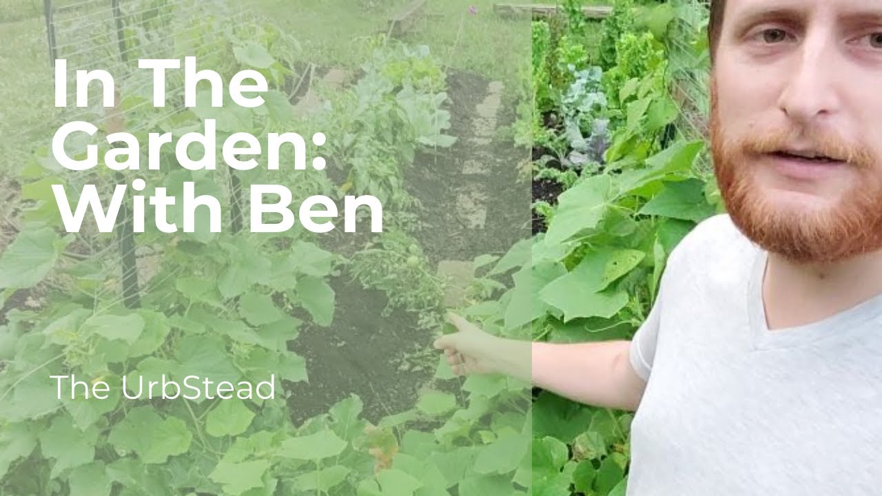 In The Garden: With Ben - YouTube
