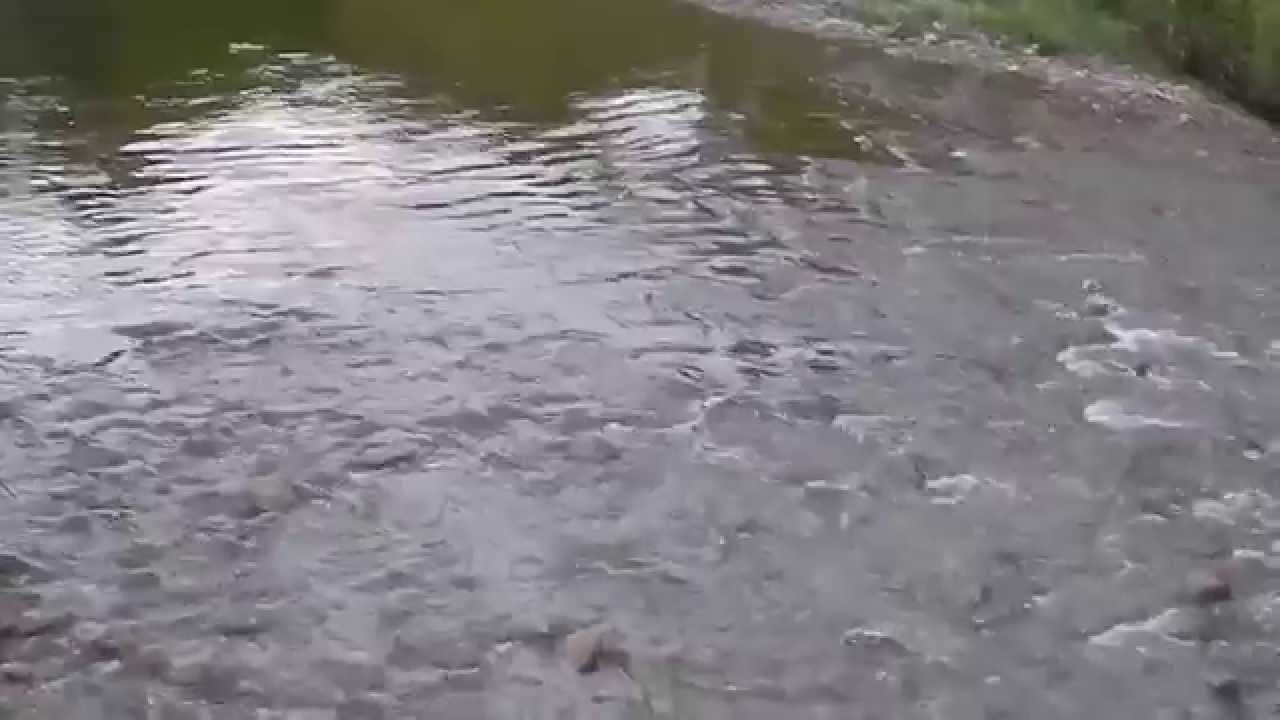 JM Nature Watch - Nottawasaga River In Mansfield, Ontario - YouTube