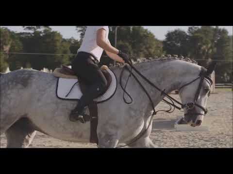 Youngblood~Horse Music Video