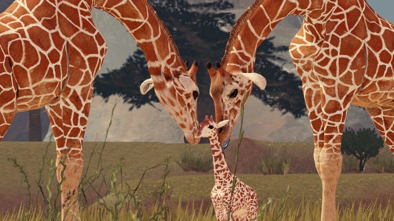 Savannah Life Giraffe Preview - YouTube
