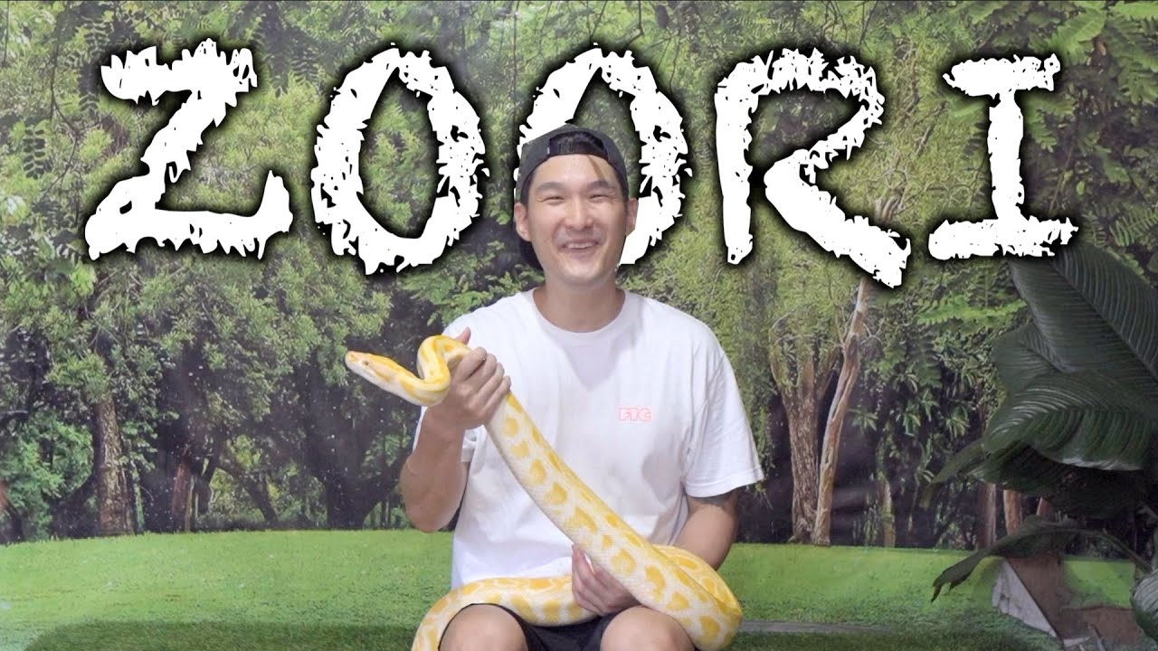FIRST TIME ZOO IN THE PHILIPPINES - ZOORI TAGAYTAY - Activity vlog ...