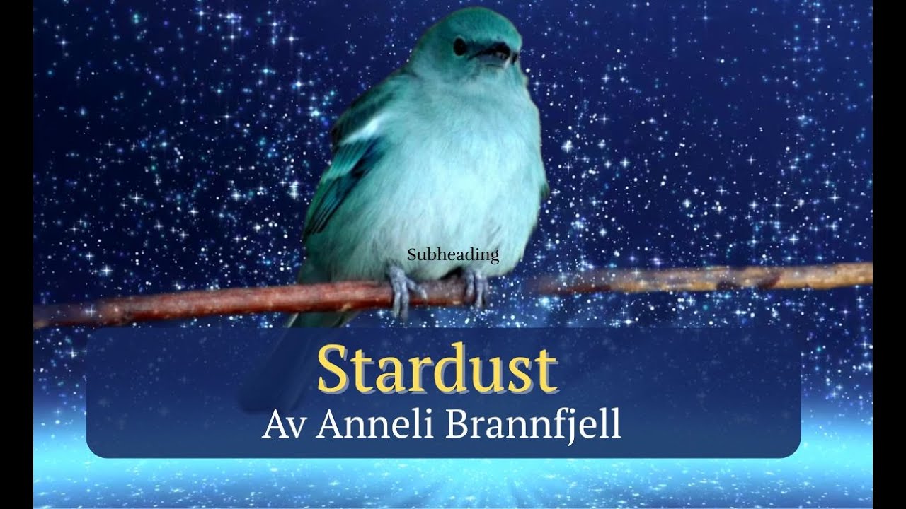 🌟 Stardust | Heartfelt Country Song | Warm Female Vocal | Anneli ...