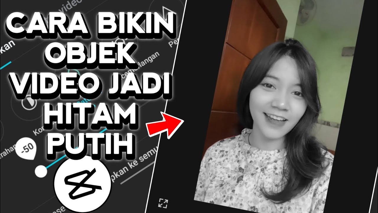 Cara buat Objek video jadi hitam putih di capcut 2024 | Rohmadso - YouTube