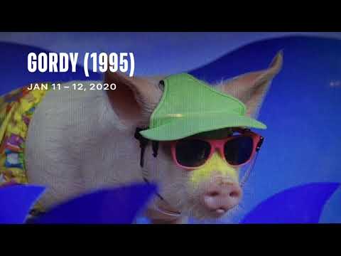 Gordy (1995)