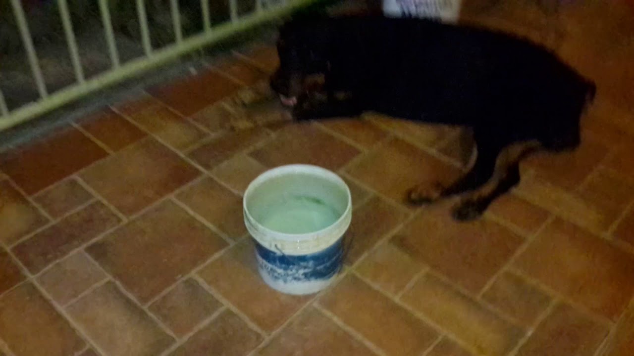 Tiggee get better soon!! - YouTube