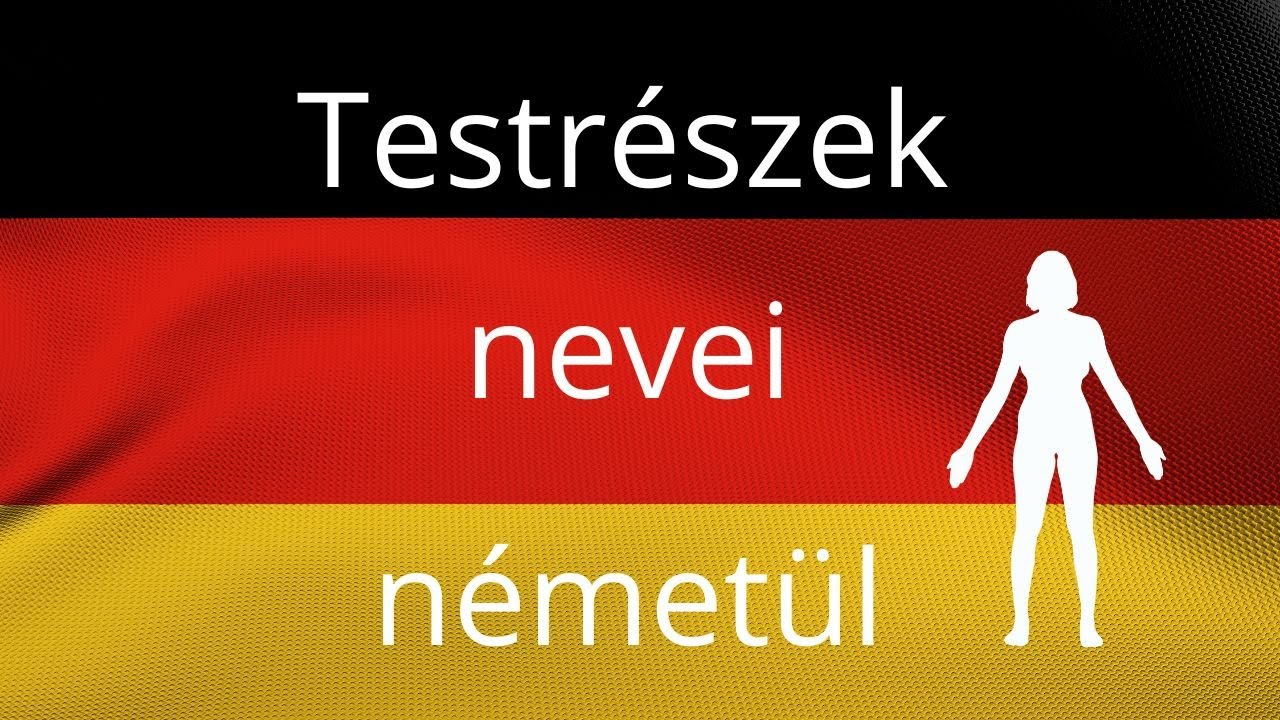 Testrészek németül - YouTube
