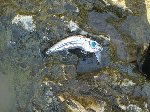 strike pro hunchback lures.action video - YouTube