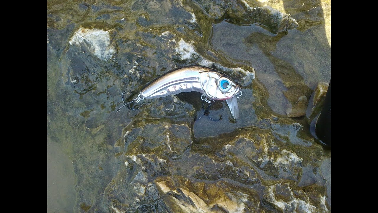 strike pro hunchback lures.action video - YouTube